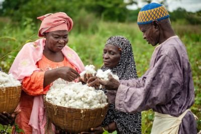 Better Cotton : L'Avenir du Coton Durable avec Solo Paris