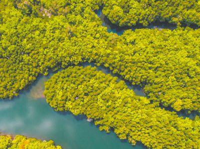 SOL’S – Leader européen du textile personnalisable